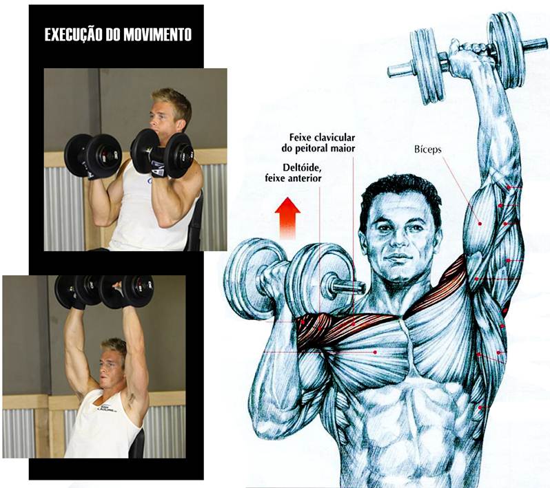 Exercícios: Ombro | Planeta do Corpo